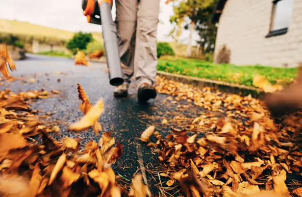 A Complete Guide to Managing Fall Leaves – EHS Development